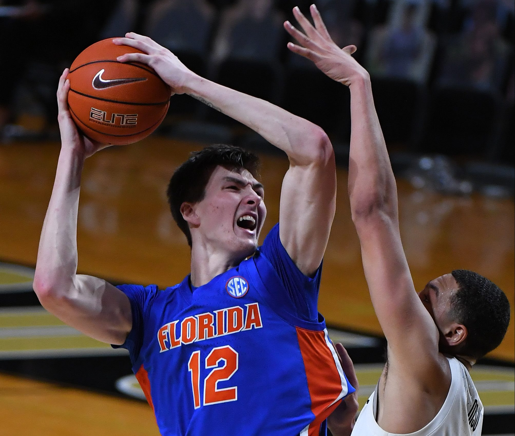 HOME [danbloch98.github.io]